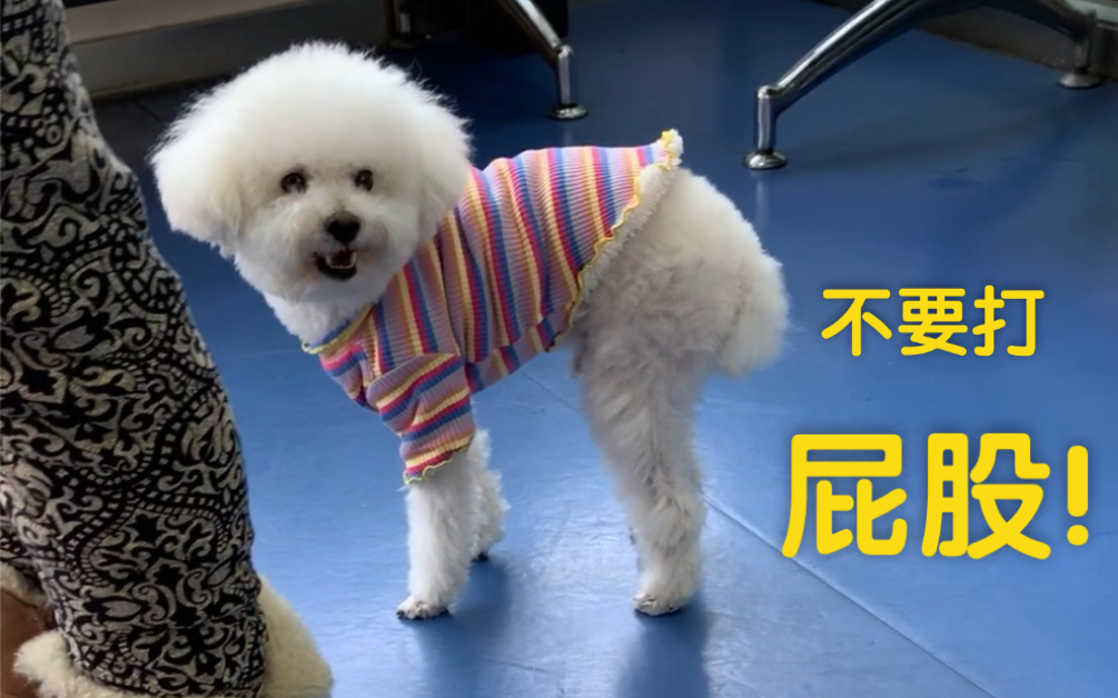 可乐去医院打针记录