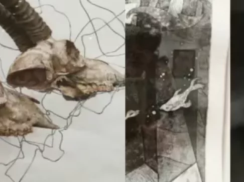 2017年,广州美术学院版画系毕业创作,书籍设计,部分作品展示。