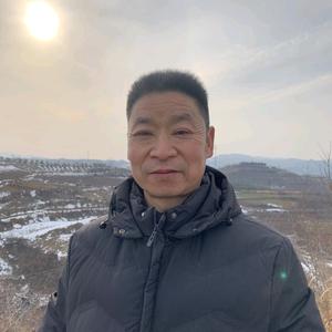 老杨来啦 