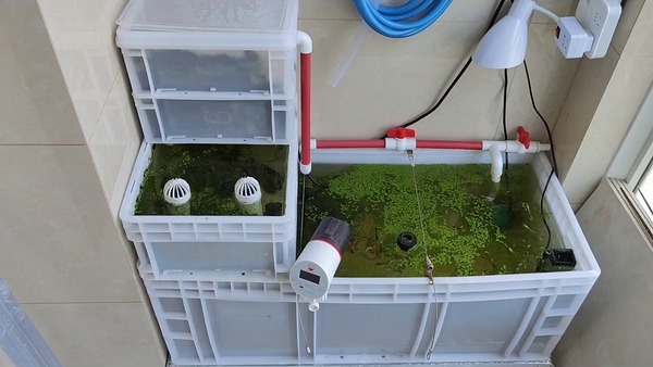 周转箱换透明管件,好不好看?