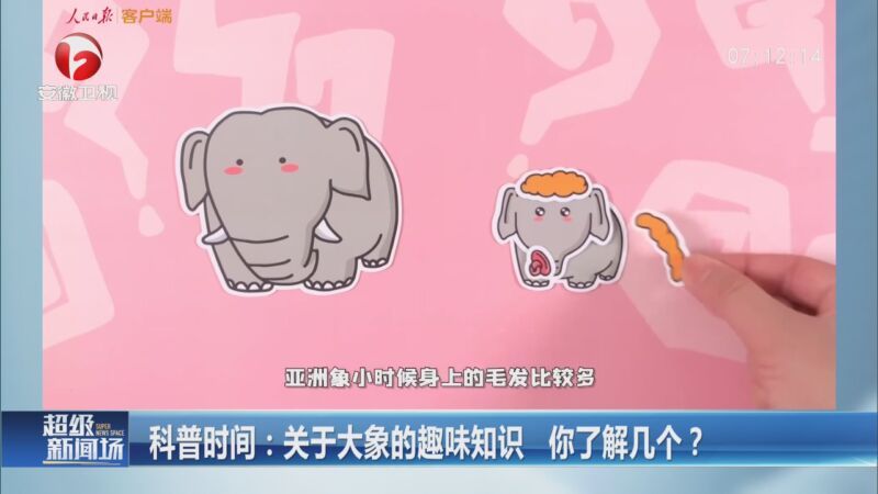[超级新闻场]科普时间:关于大象的趣味知识 你了解几个?