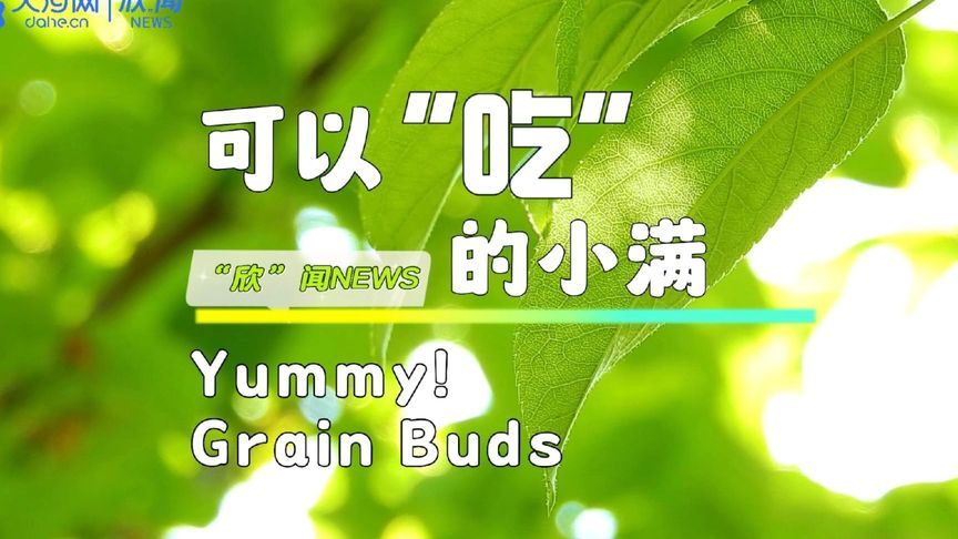 小满是二十四节气中的第8个节气,今年的...
