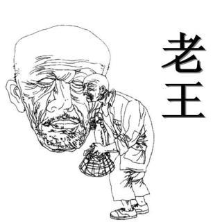 老王玩视频 