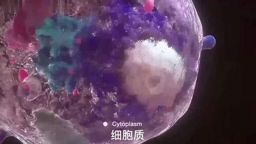 电子显微镜下的细胞,不愧是宇宙中的宇宙,微观世界也别有洞天!
