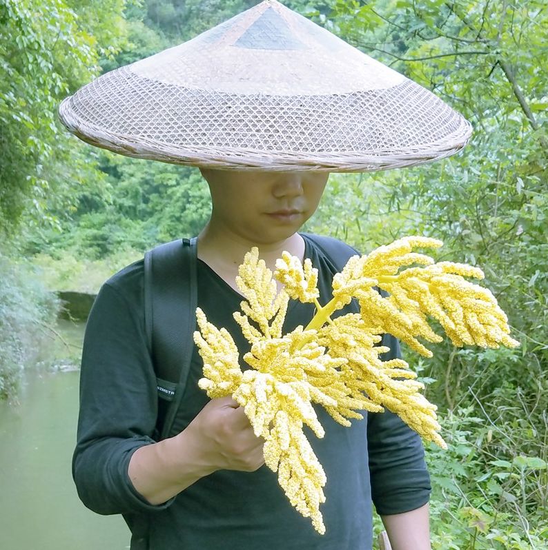 湘西苗疆阿哥 