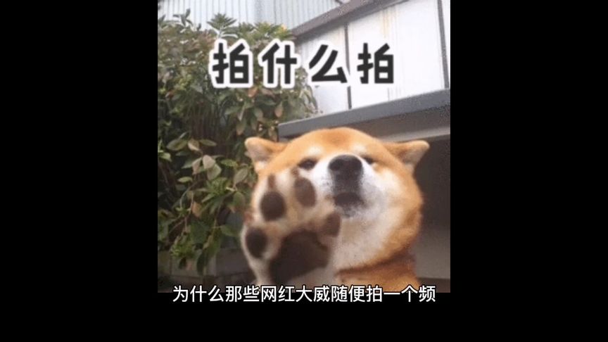 巨量算数-专门做到视频数据分析的官方工具。