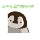爱快游丶史蒂夫 