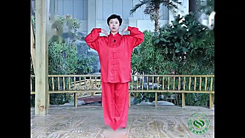 刘双云老师教学中华通络操2018升级版教学视频(第四节)-_高清·辘辘...