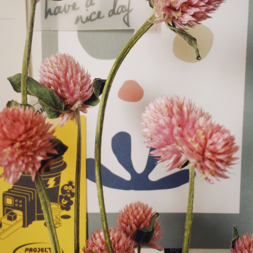 索菲亚梦游现实 