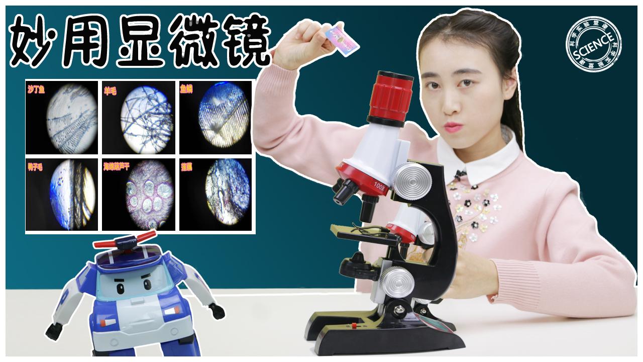 小新孖孖 变形警车珀利显微镜查案 显微镜使用方法教程