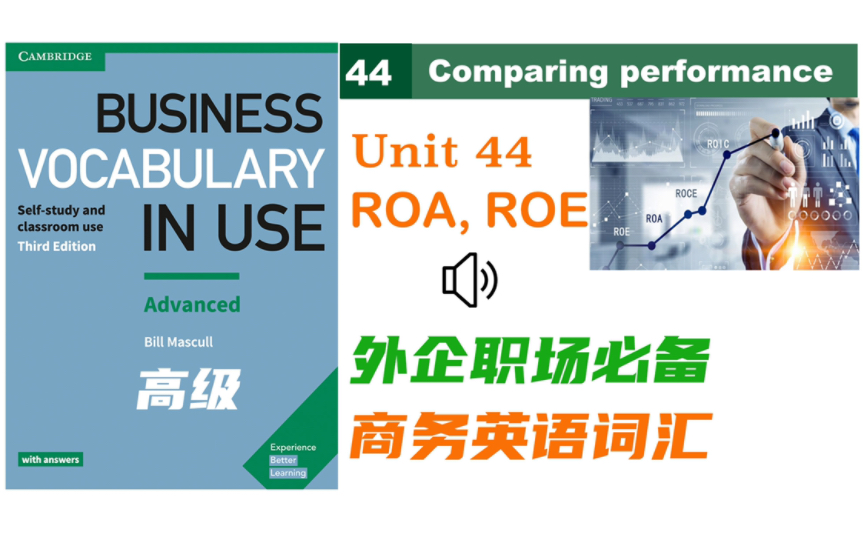 【商务英语】Unit44 企业盈利能力ROA & ROE|Business Vocabulary ...