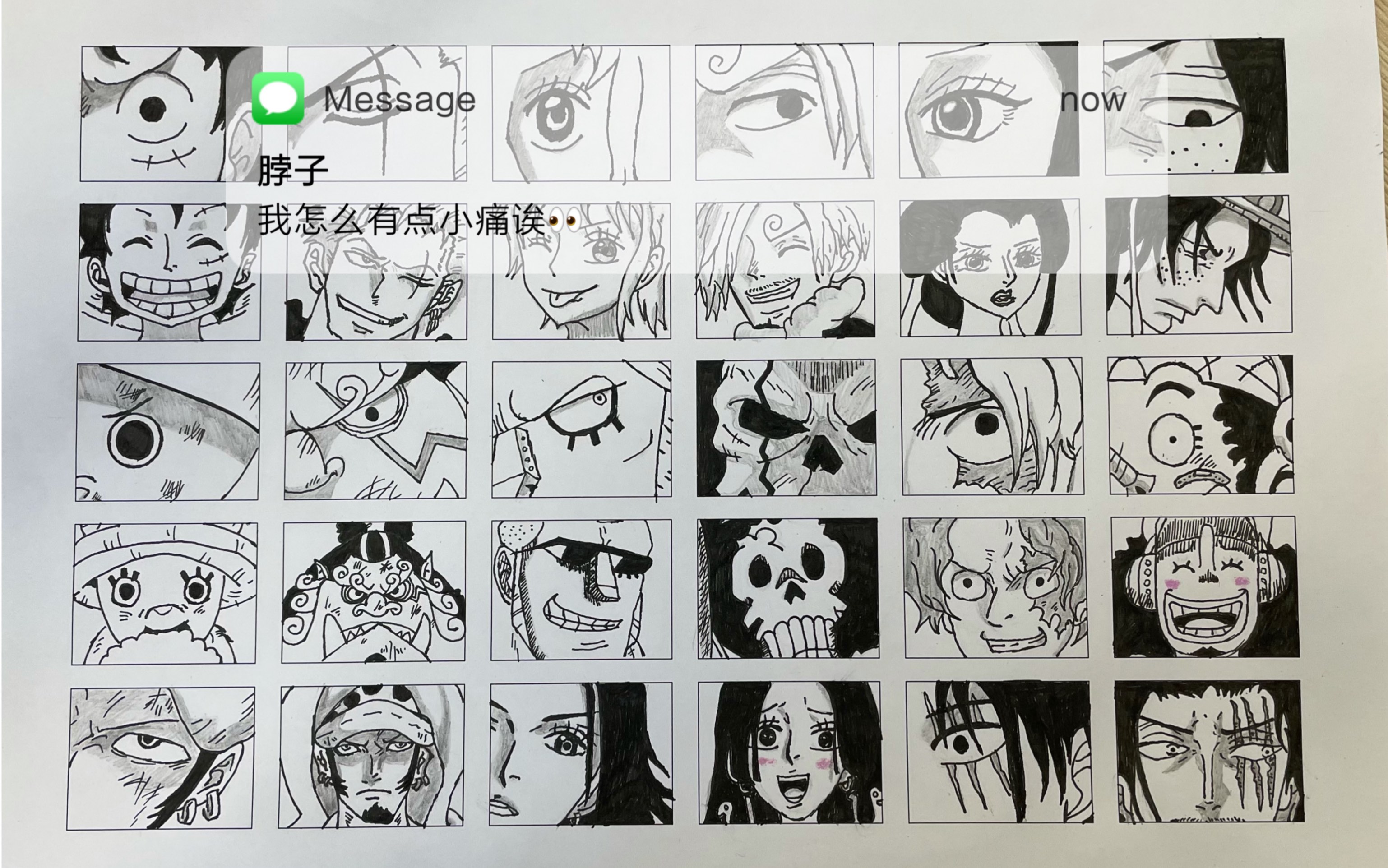 海贼王50倍速格子画-临摹素材来自little red book～