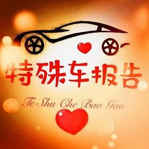 特殊车报告 