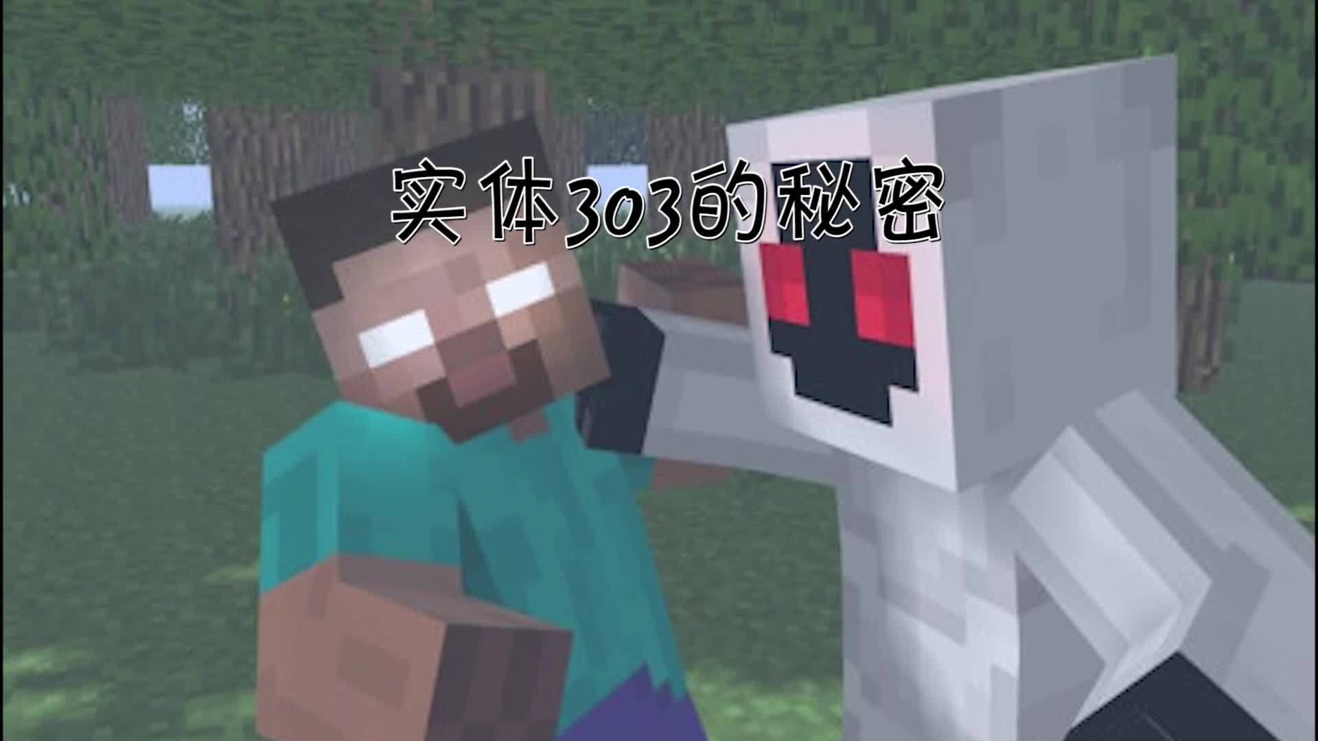 我的世界:实体303的秘密