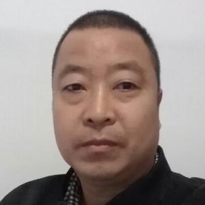 巴山养蜂人老陈 