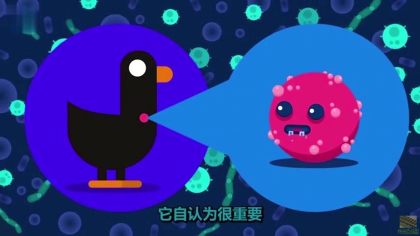 分享一则有趣的癌细胞动画小故事,快来看看呗