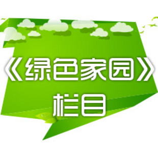 小珂爱学习 