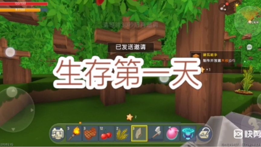 迷你世界;我的生存第一天。