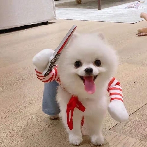 动画制作11 