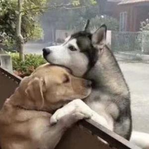 科技前沿探索发现 