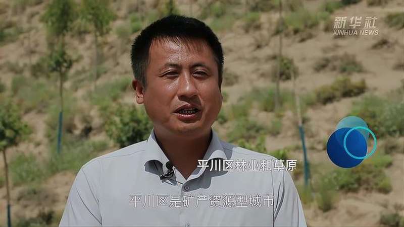 甘肃平川:国家储备林建设让采煤沉陷区重获绿色生机