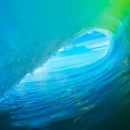 爱打高尔夫球de公孙忻乐 