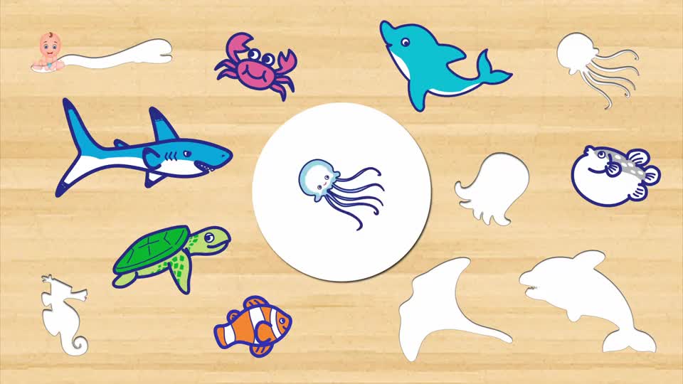 看卡通图像认识海洋生物