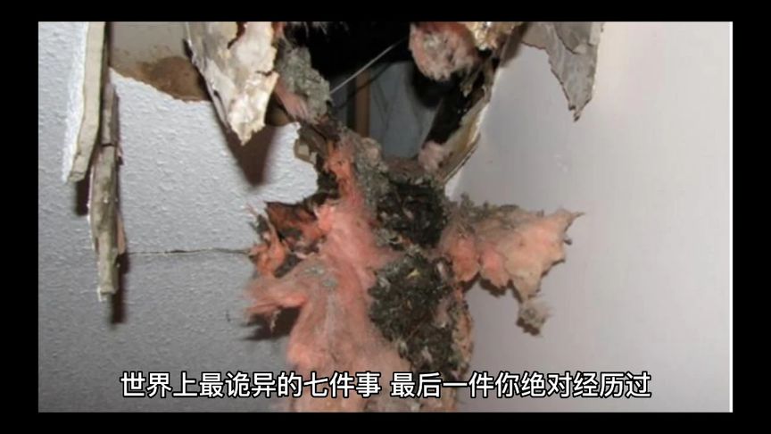 世界上最诡异的事件!