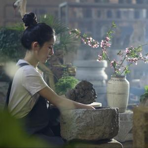 木辛日记 
