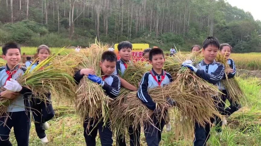 #知识出游计划 #少先队 #劳动教育