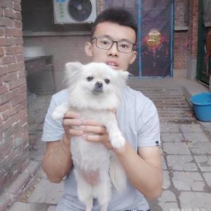 山东大么个