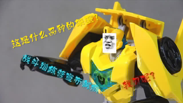 变形金刚战斗训练营培养信任,培养出了两个笨蛋