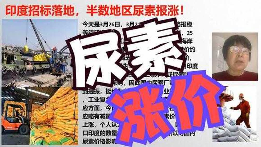 印度招标落地,半数地区尿素报涨!尿素价格!