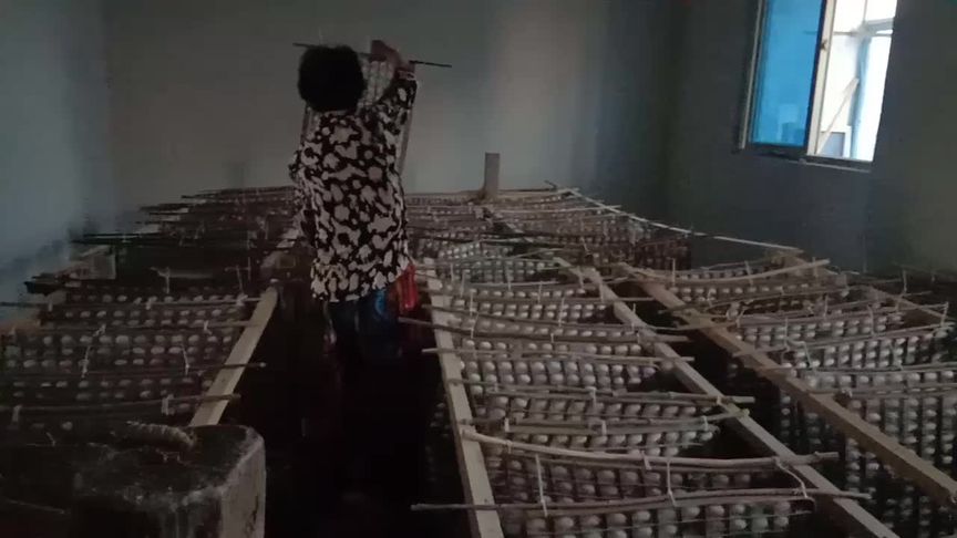 你们盖的蚕丝被都是这样来的。天很晚了蚕农还在忙碌