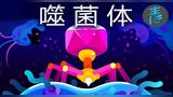 世界上最致命的存在噬菌体