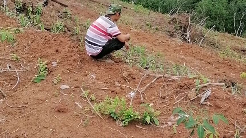 我们的劳动生活和收入,为了生活继续奋斗 加油努力吧!