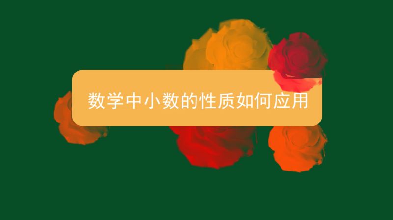 数学中小数的性质如何应用