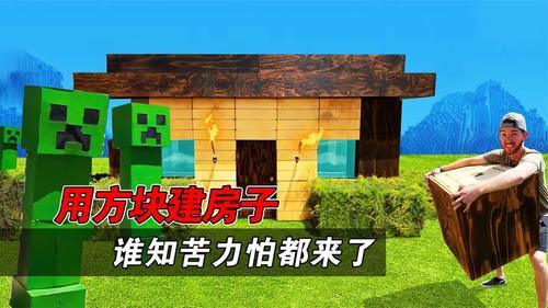 用我的世界的方块,建真实的房子!连苦力怕都有?