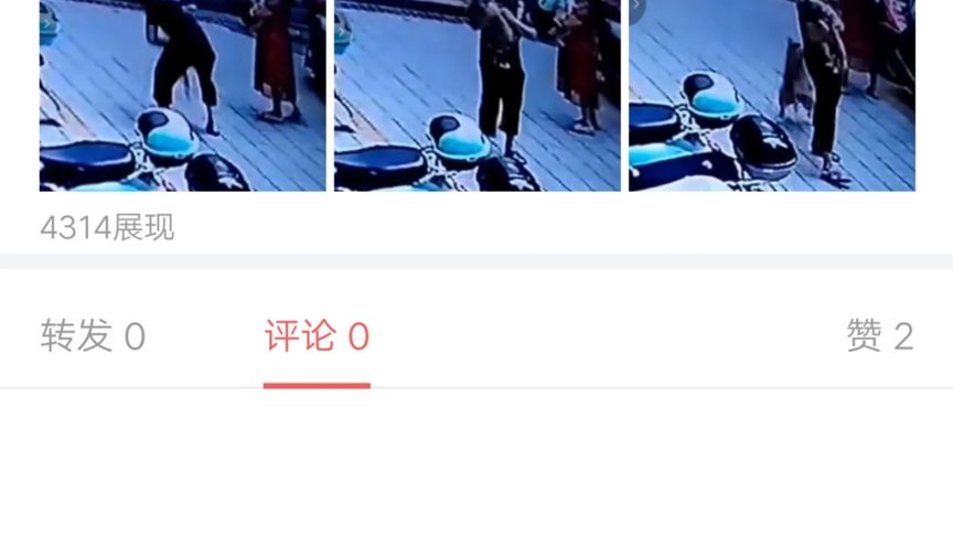 大小狗吵架 大狗挣脱狂咬小狗主人 小狗反咬大狗 狗患拷问邹某某