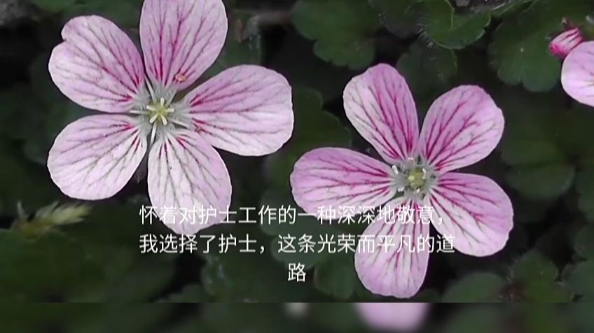 爱岗敬业护士优秀演讲稿