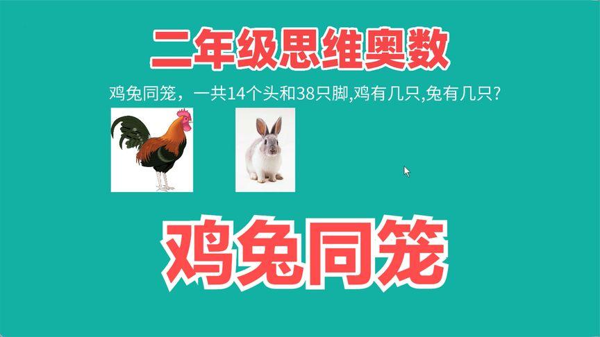 二年级鸡兔同笼问题,今天我用另外两个方法,原来这道奥数要这样做