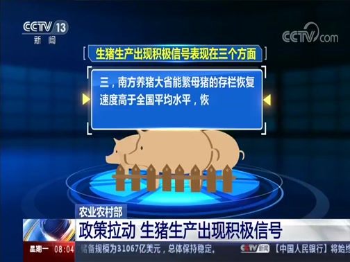 [朝闻天下]农业农村部 政策拉动 生猪生产出现积极信号