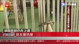 “孙小果”案启动再审:身世背景全曝光,涉案官员增至20人!