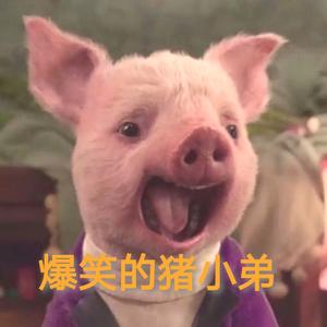 爆笑的猪小弟 