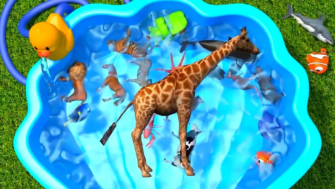 少儿卡通动画 介绍企鹅,小狗和猫咪 海豚 鲨鱼 斑马 益智