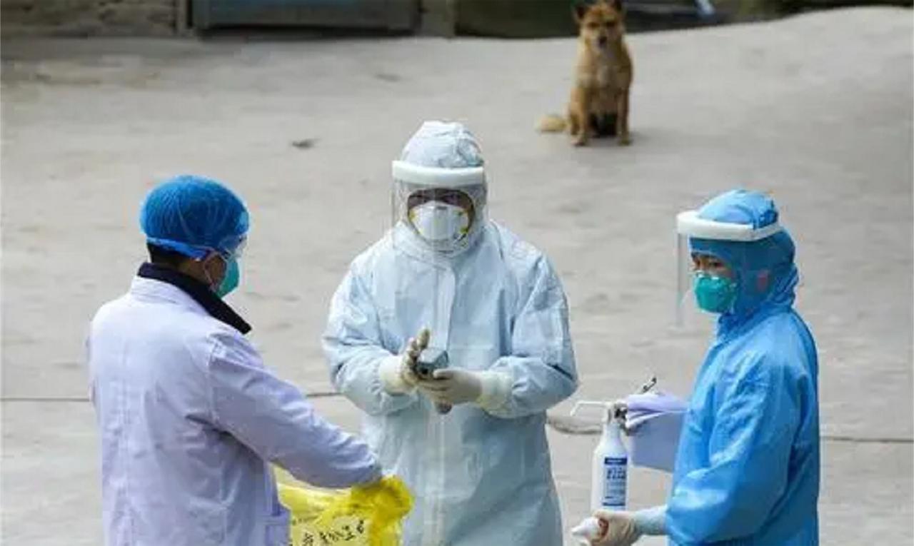 详情通报!重庆市新增1例新冠肺炎确诊病例