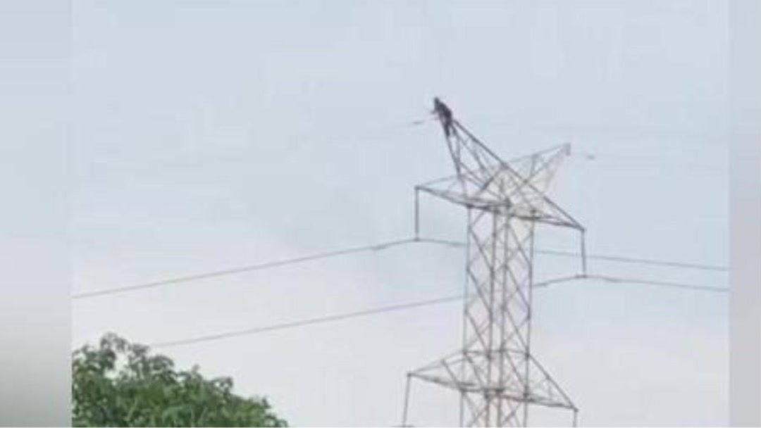 男子爬电塔自杀 放弃后却误触高压电线身亡