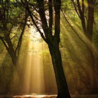 历史解说员刘影丽 