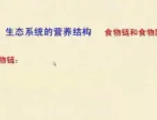 19.生态系统的结构_标清