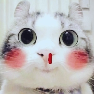 千影随形 